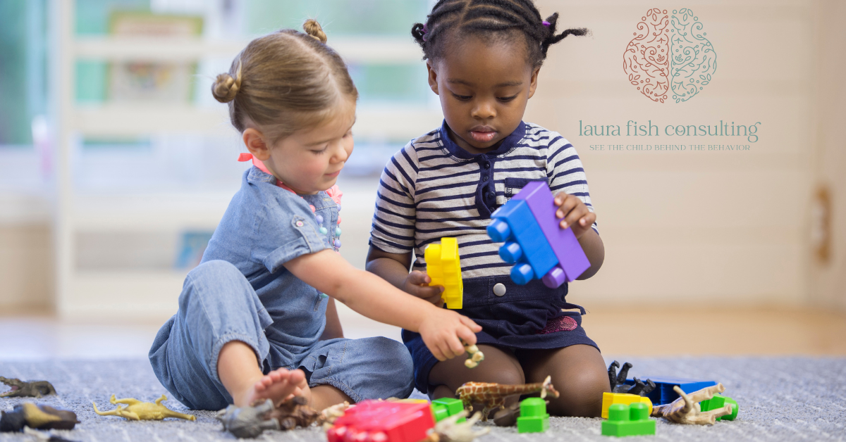 Executive Function Skills | Laura Fish Consulting